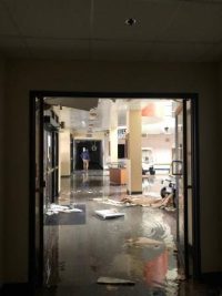 Austin Classical School | Austin, TX – A Christ-centered, classical ...